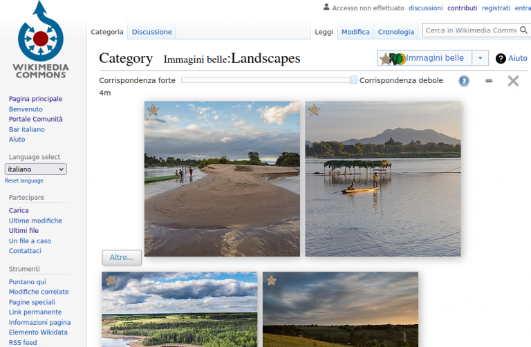 Come si cercano le immagini su Wikimedia Commons